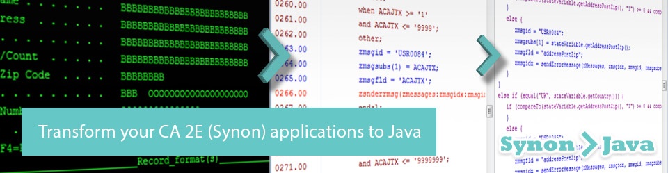 Convert you Synon code to Java